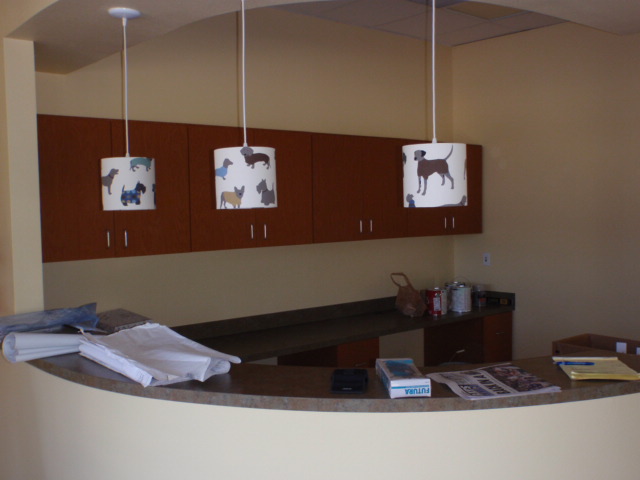 Southbay Animal Hospital- Veterinary Offices - Ed Seifried Construction