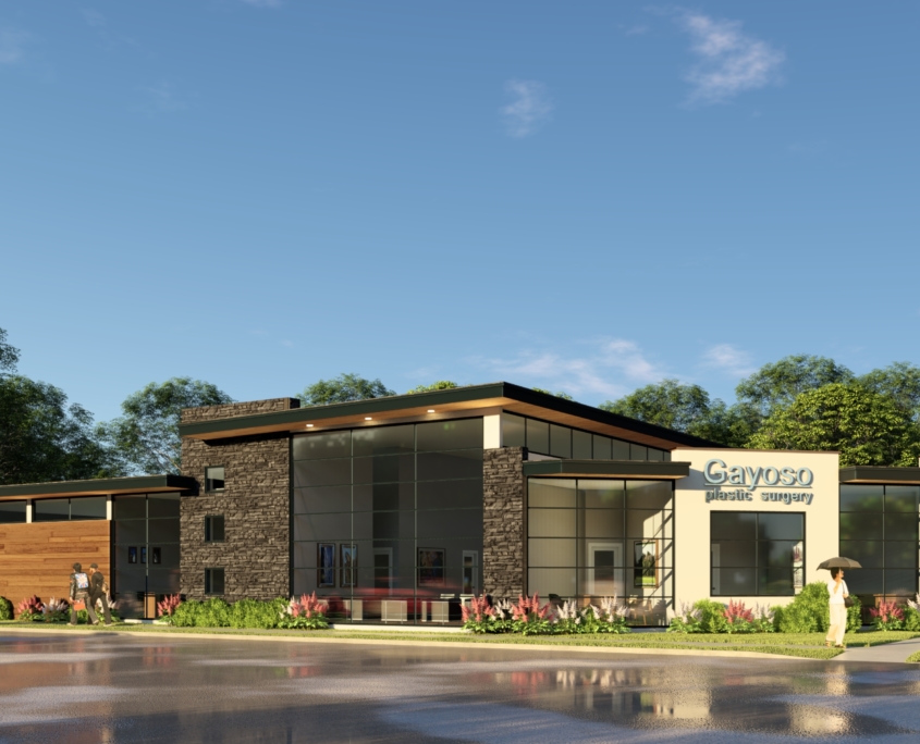 Dr. Gayoso plastic surgery - Ed Seifried Construction