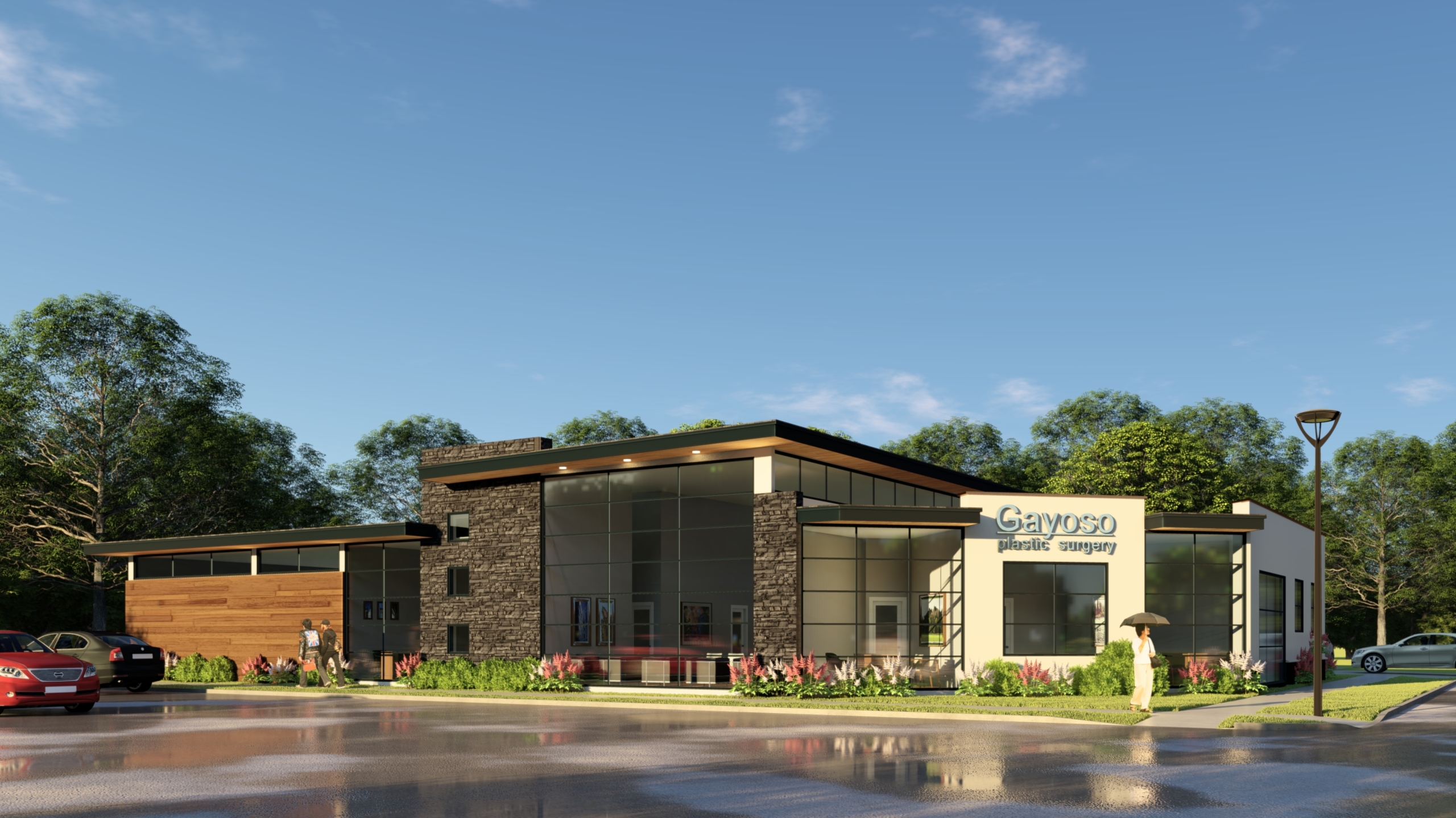 Dr. Gayoso plastic surgery - Ed Seifried Construction